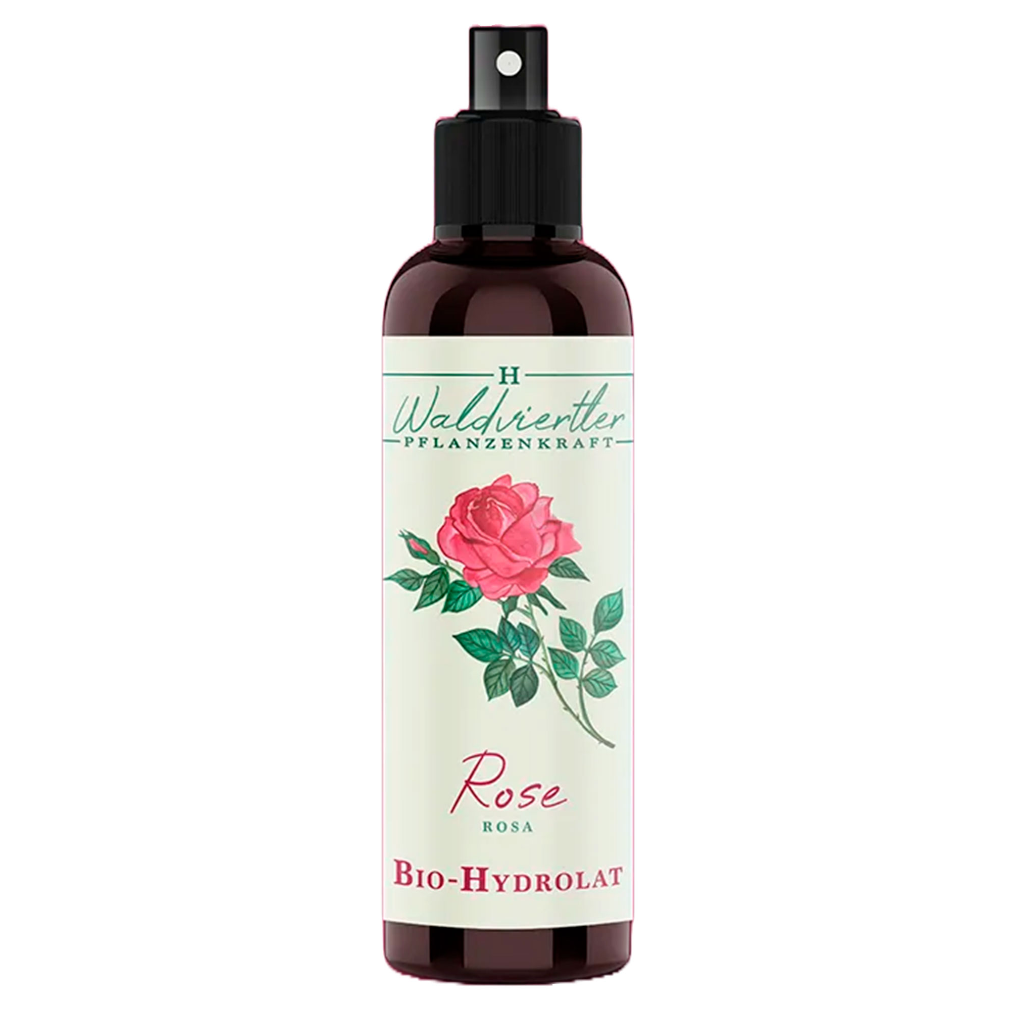 Bio Hydrolat Rose 75ml online kaufen