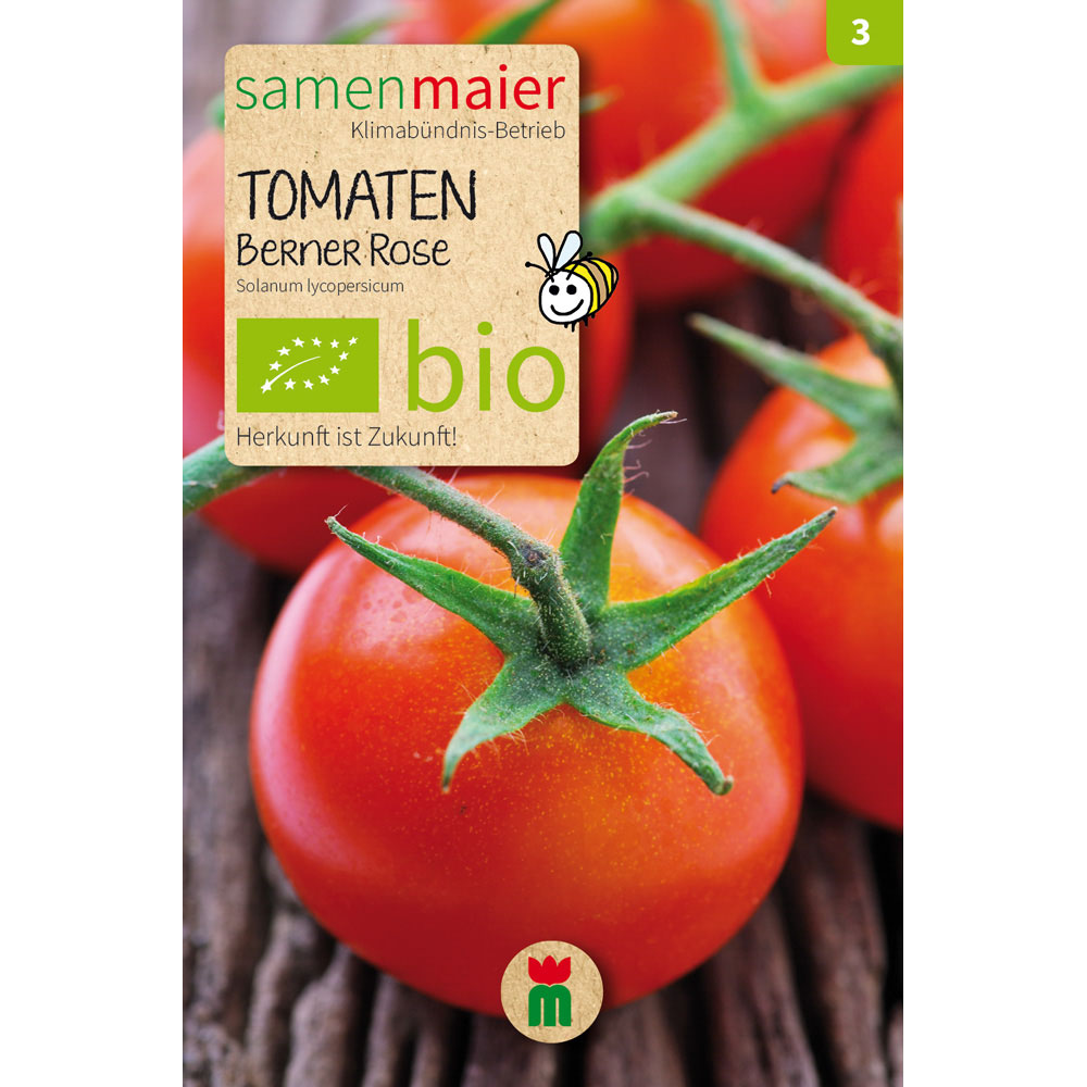 Bio Tomaten Berner Rose - Fleischtomate - Saatgut für zirka 10 Pflanzen ...