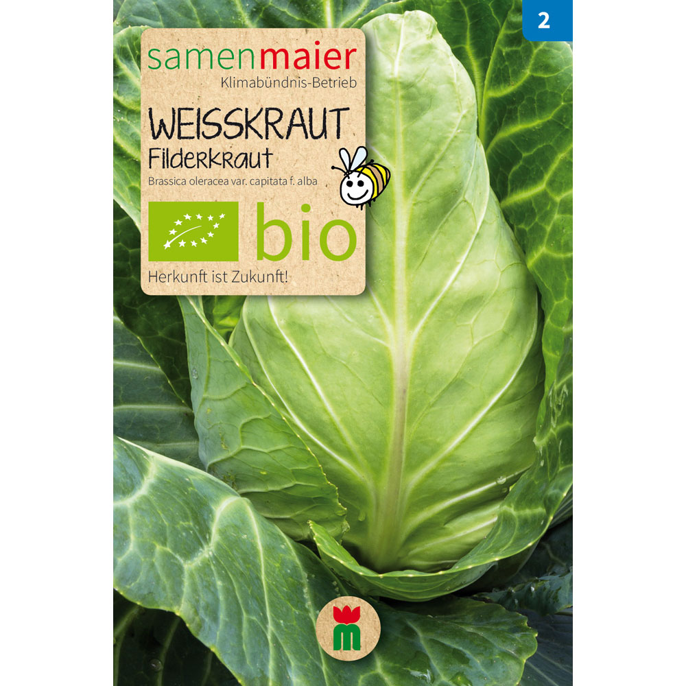 Bio Weißkraut Spitz- Filderkraut - Saatgut für zirka 25 Pflanzen online ...