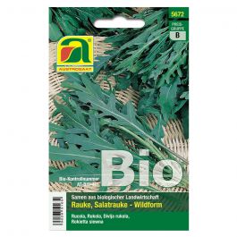 Bio Saatgut Wilde Rauke Rucola selvatica online kaufen